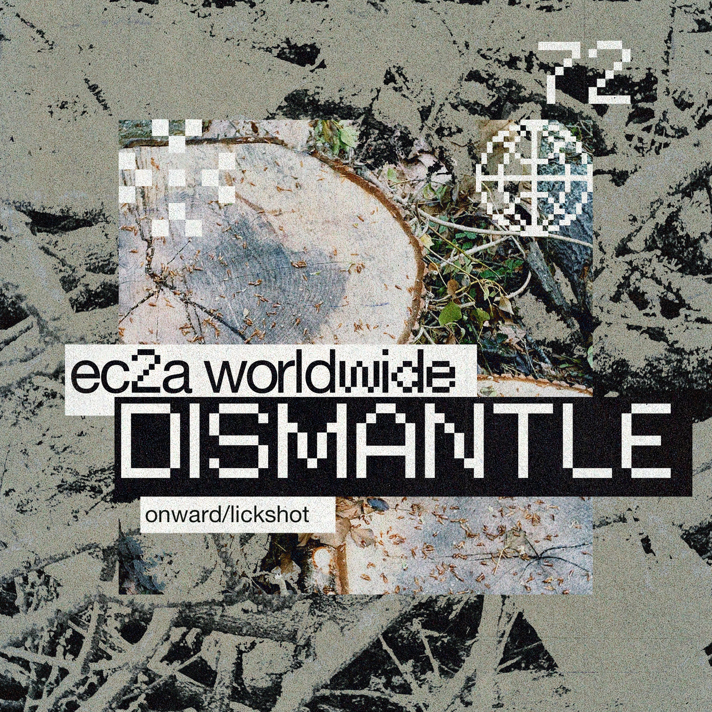 [EC2A-072] DISMANTLE – ec2a